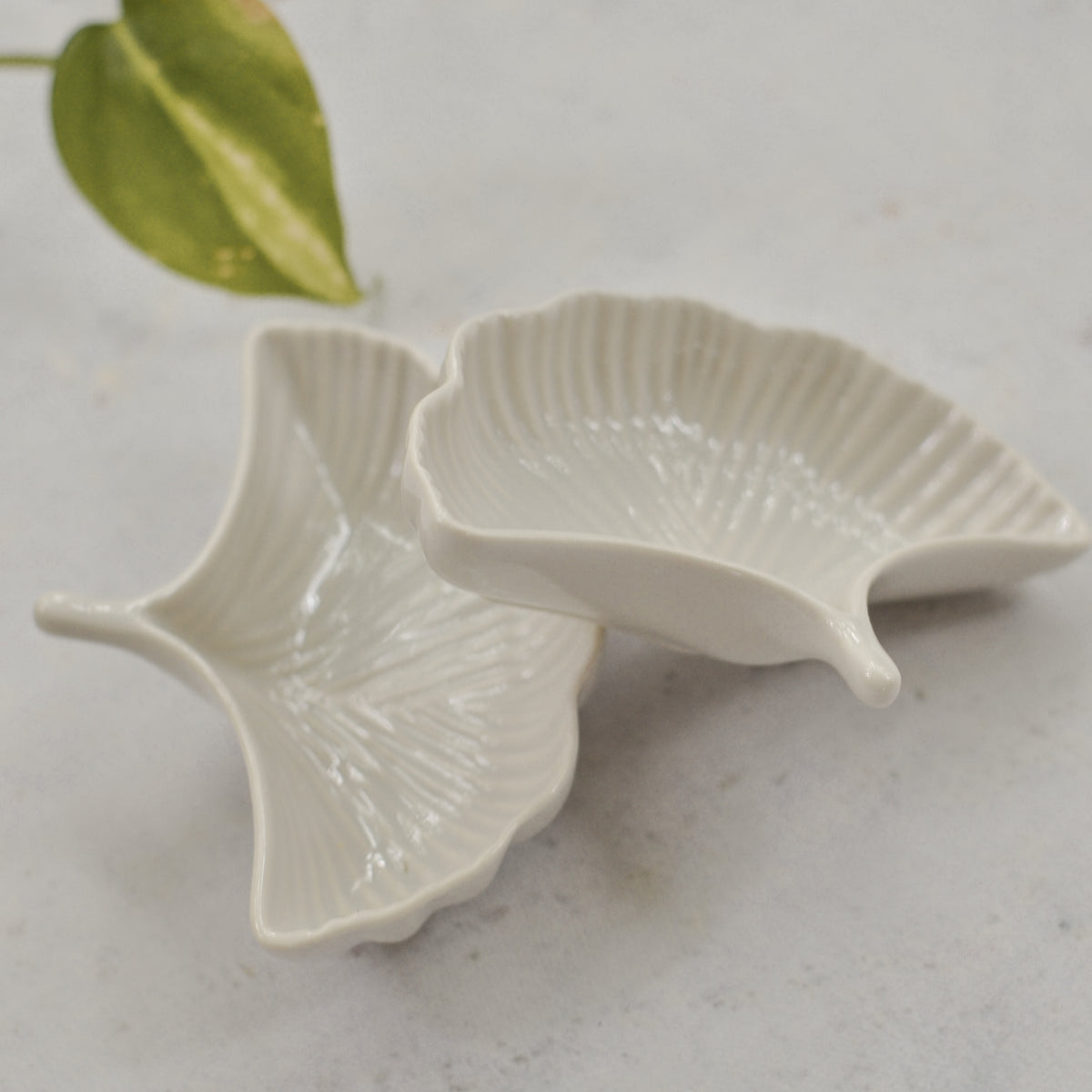 Leaf Dipping Dish – White Gables Home